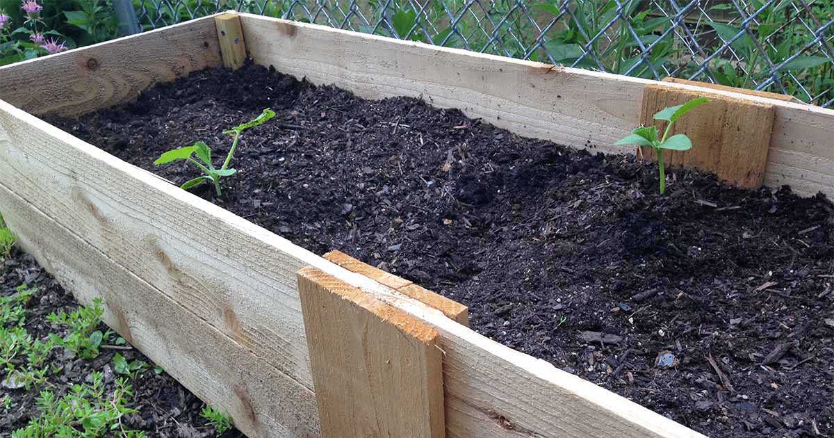 45 Amazing Garden Project Ideas For All Skill Levels