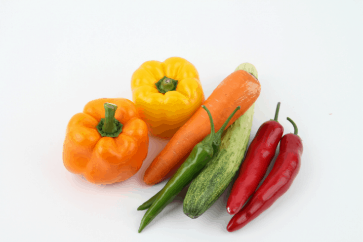 Gardening Materials to Make Planting and Growing Easier