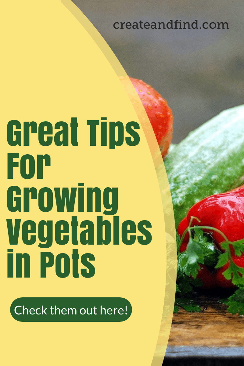 The Perfect Garden Vegetables to Grow In Pots