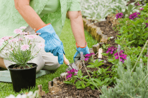 Gardening Materials to Make Planting and Growing Easier
