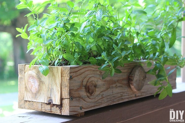 19 Ways to Make Your Own Planters