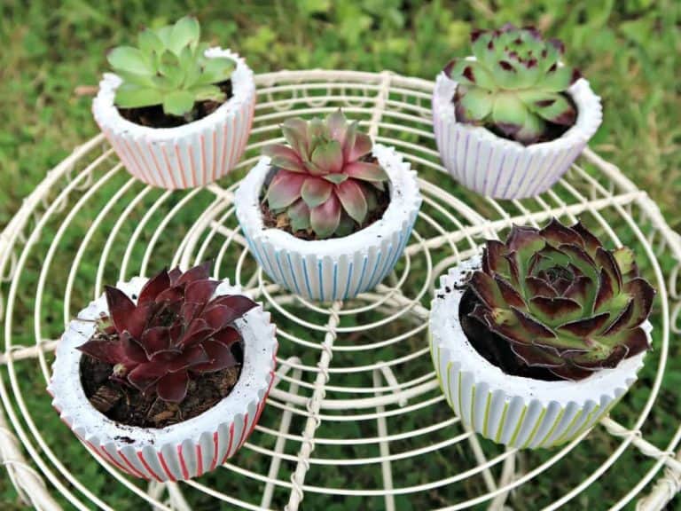 19 Ways to Make Your Own Planters
