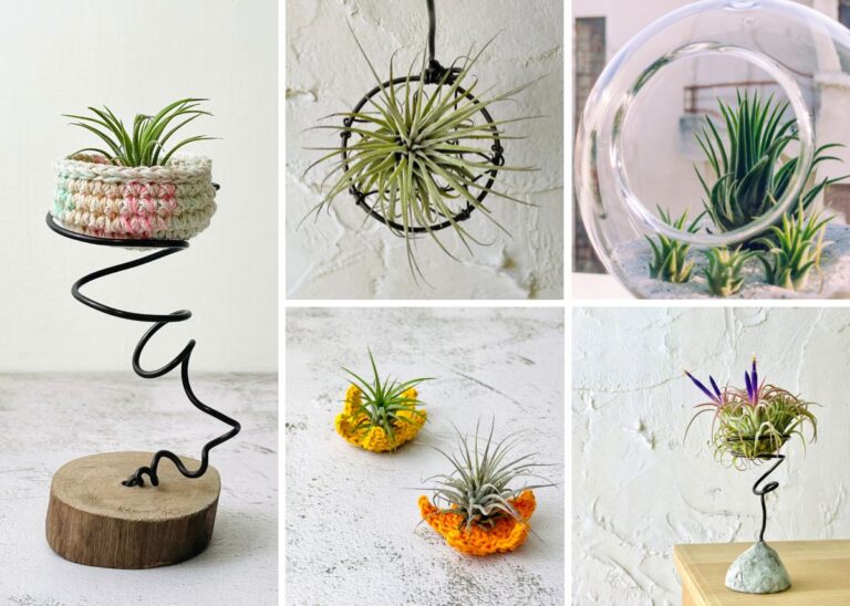 Aesthetic Indoor Plants for Small Spaces